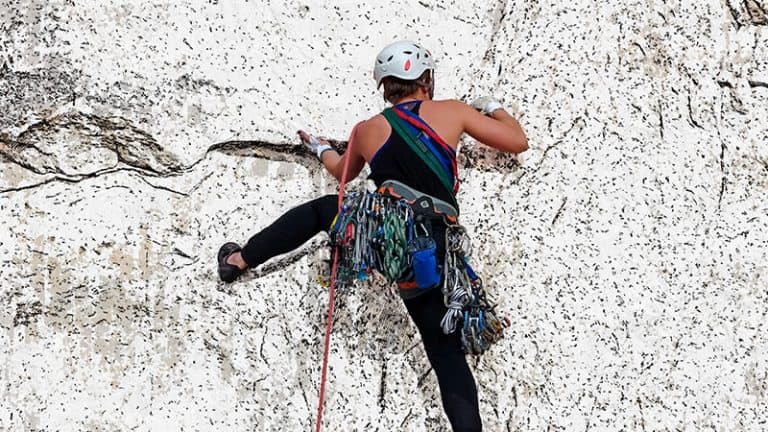 Free Climbing Guide: Everything You Need to Know