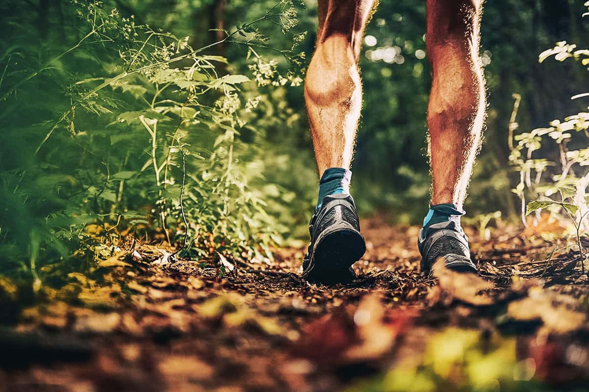 How to Get In Shape for Hiking: Top 5 Training Exercises