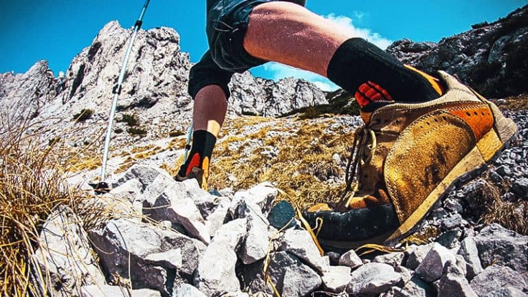 How to Make Your Hiking Trip Eco-Friendly: Tips & Best Practices